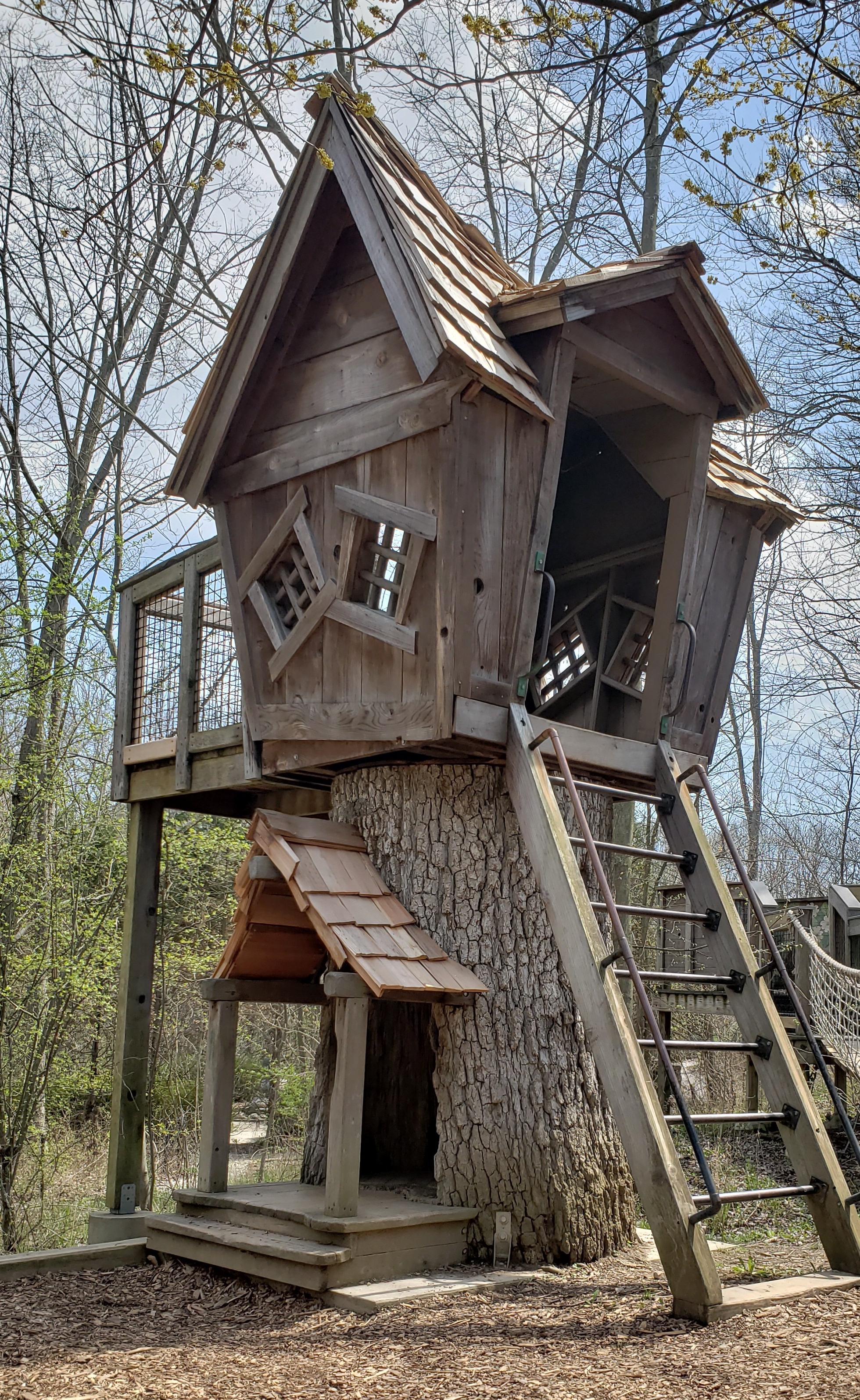Home – Treehouse Speech Therapy