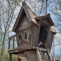 Contact – Treehouse Speech Therapy